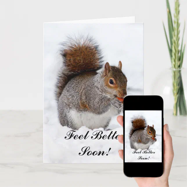 Feel Better Soon Squirrel Greeting card | Zazzle
