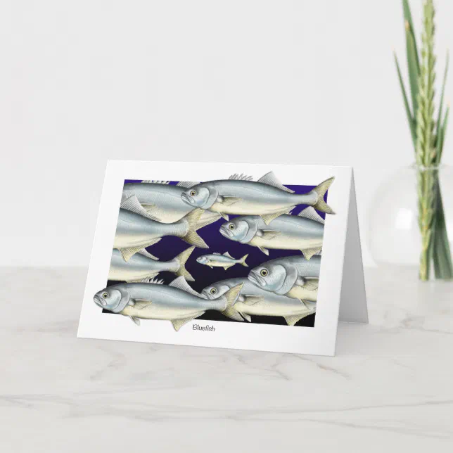 Feeling Blue Bluefish Greeting Card | Zazzle