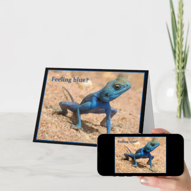 Feeling blue get well card | Zazzle