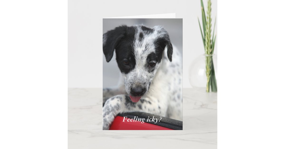 Feeling icky? card | Zazzle