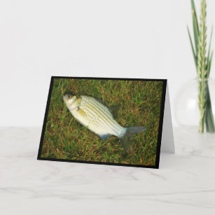 Fishing Get Well Cards - Well Wishes Cards | Zazzle