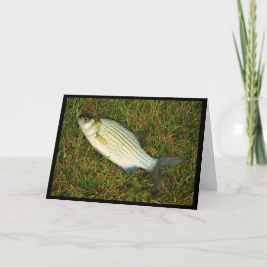 Feeling Like A Fish Out Of Water? Get Well Card | Zazzle.com