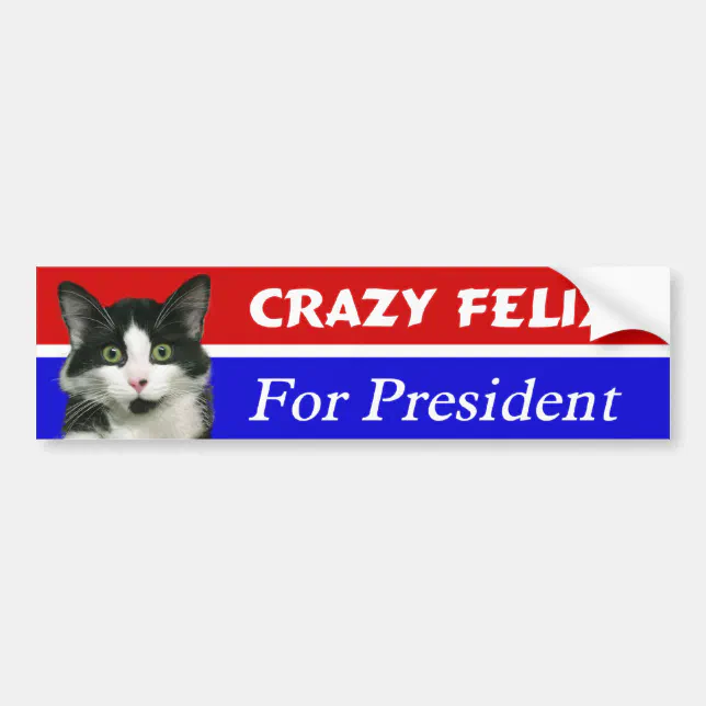 Felix the Cat for President Bumper Sticker | Zazzle