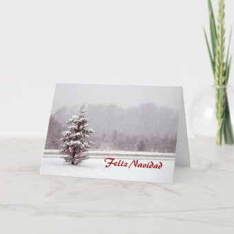 Feliz Navidad Merry Christmas in Spanish and snow Holiday Card | Zazzle