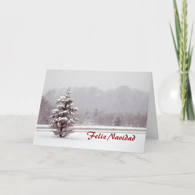 Feliz Navidad Merry Christmas in Spanish and snow Holiday Card | Zazzle