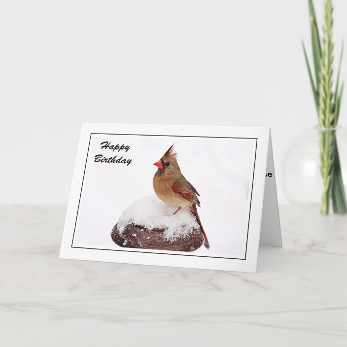 Female Cardinal Birthday Card | Zazzle.com
