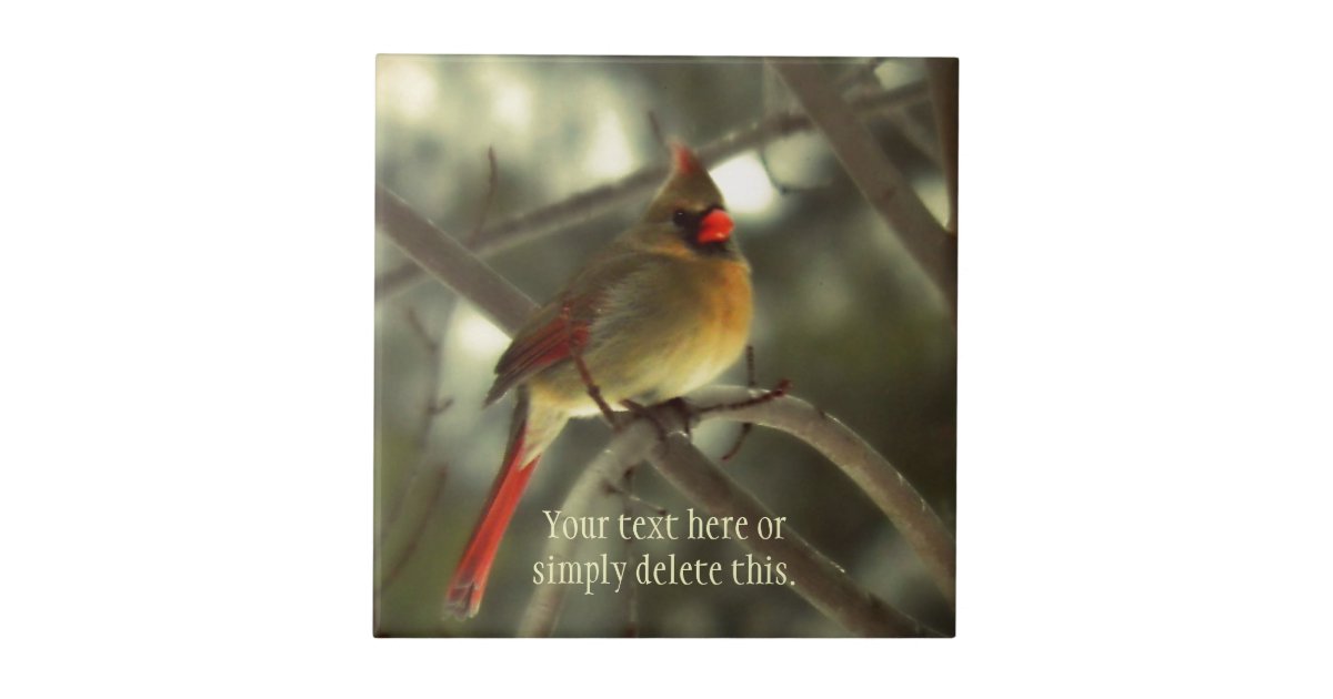 Female Cardinal Ceramic Tile | Zazzle