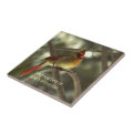 Female Cardinal Ceramic Tile | Zazzle