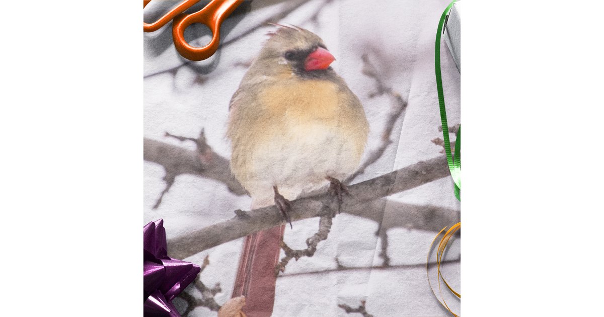 Female Cardinal In Winter Tissue Paper | Zazzle