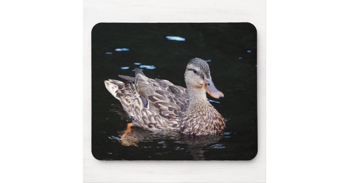 Female Mallard Duck Mouse Pad | Zazzle