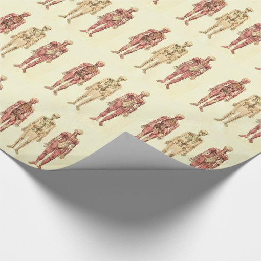 Female Muscle & Skeleton Anatomy Wrapping Paper | Zazzle