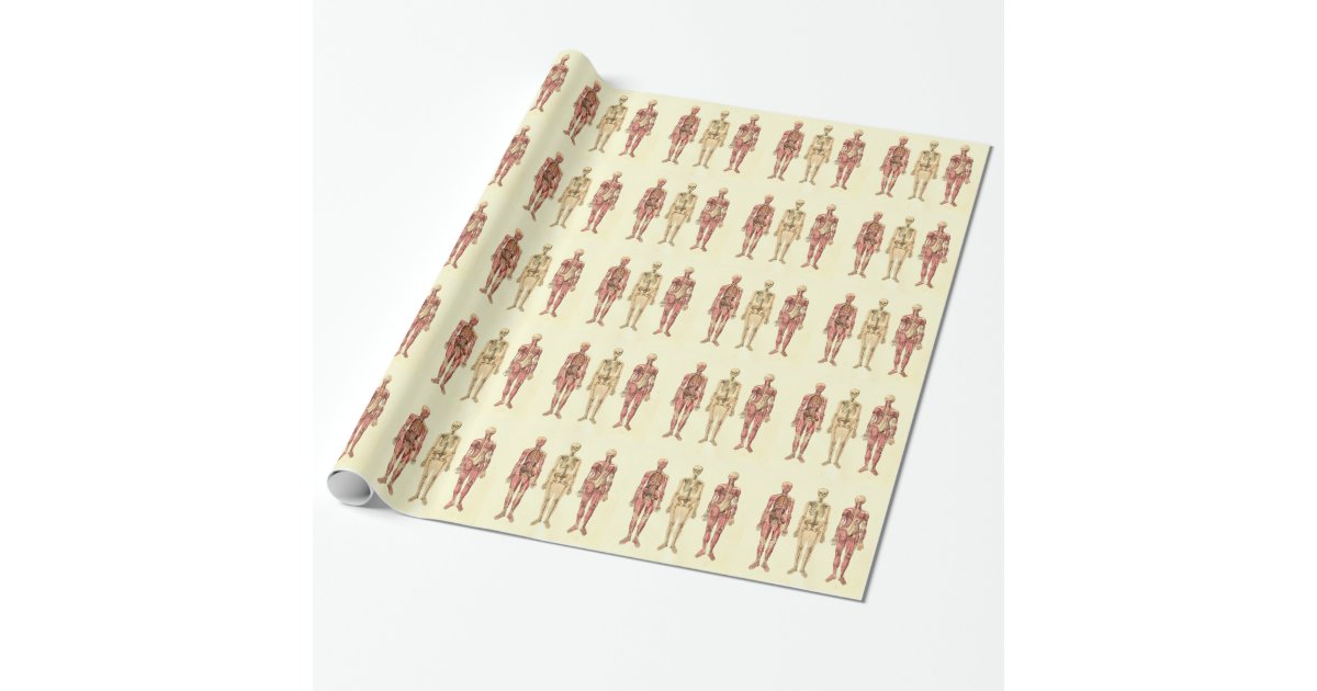 Female Muscle & Skeleton Anatomy Wrapping Paper | Zazzle