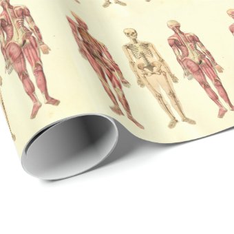 Female Muscle & Skeleton Anatomy Wrapping Paper | Zazzle