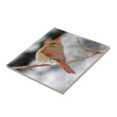 Female Northern Cardinal Ceramic Photo Tile | Zazzle
