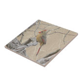 Female Northern Cardinal Ceramic Tile | Zazzle