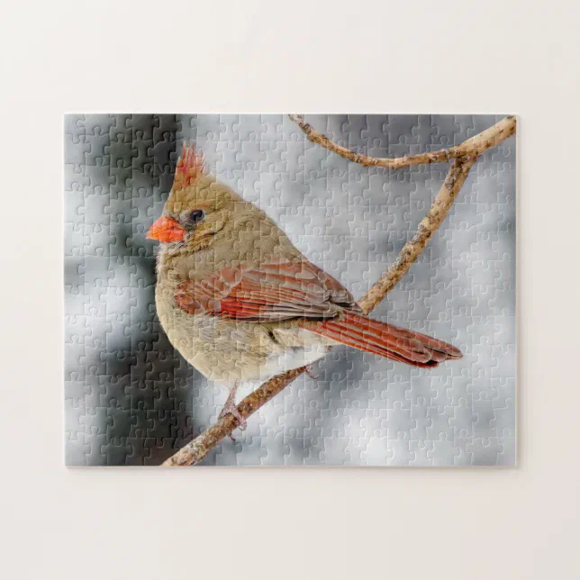 Female Northern Cardinal Puzzle | Zazzle