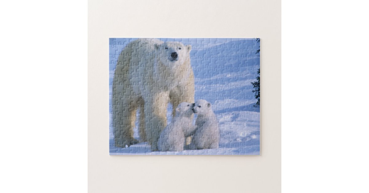 Female Polar Bear Standing with 2 Cubs Jigsaw Puzzle | Zazzle