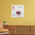 Female urinary system labeled poster | Zazzle