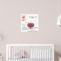 Female urinary system labeled poster | Zazzle