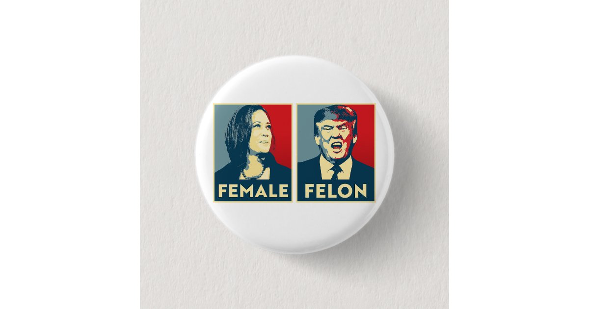 Female vs Felon Button | Zazzle