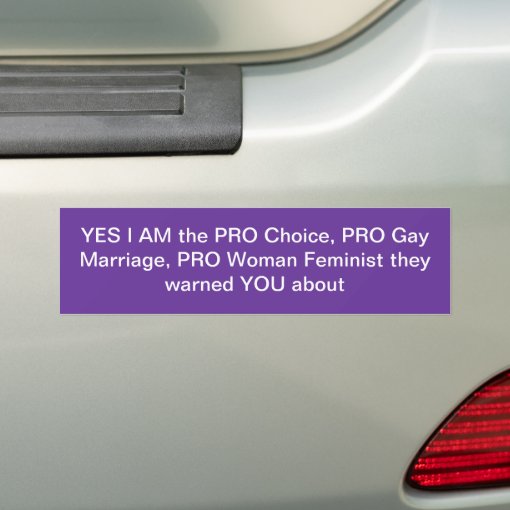 Feminist bumper sticker II | Zazzle