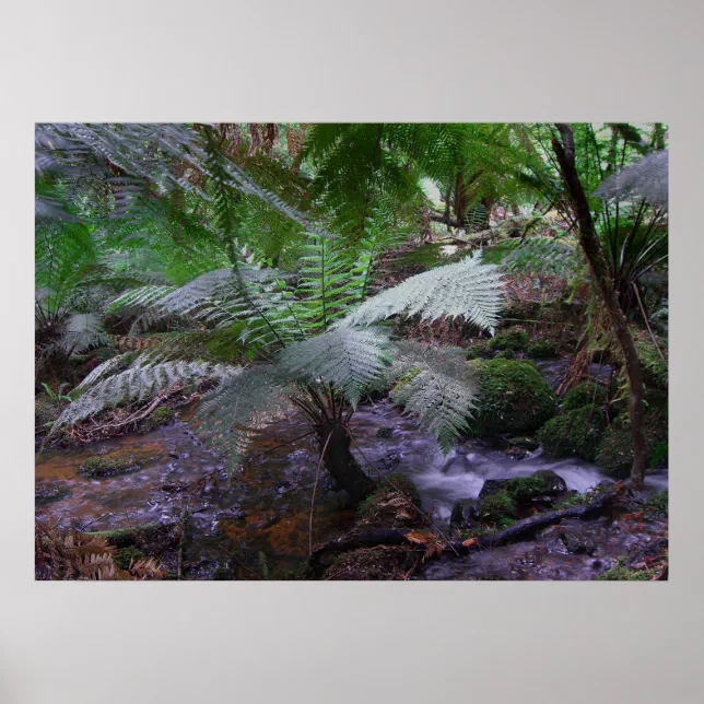 Fern gully poster | Zazzle