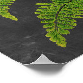 Fern sign w/ Chalkboard Background no. 5 | Zazzle