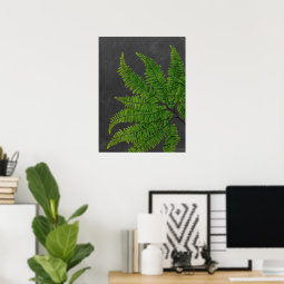Fern sign w/ Chalkboard Background no. 5 | Zazzle