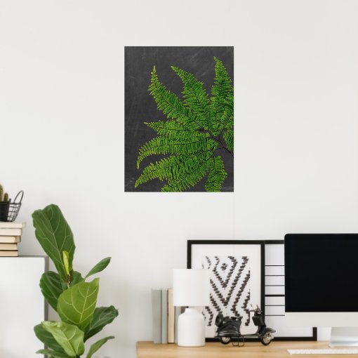 Fern sign w/ Chalkboard Background no. 5 | Zazzle