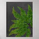 Fern sign w/ Chalkboard Background no. 5 | Zazzle