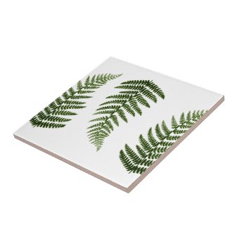 Ferns Ceramic Tile | Zazzle