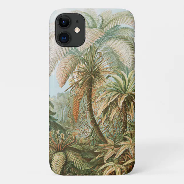 Ferns, Filicinae Laubfarne by Ernst Haeckel Case-Mate iPhone Case | Zazzle