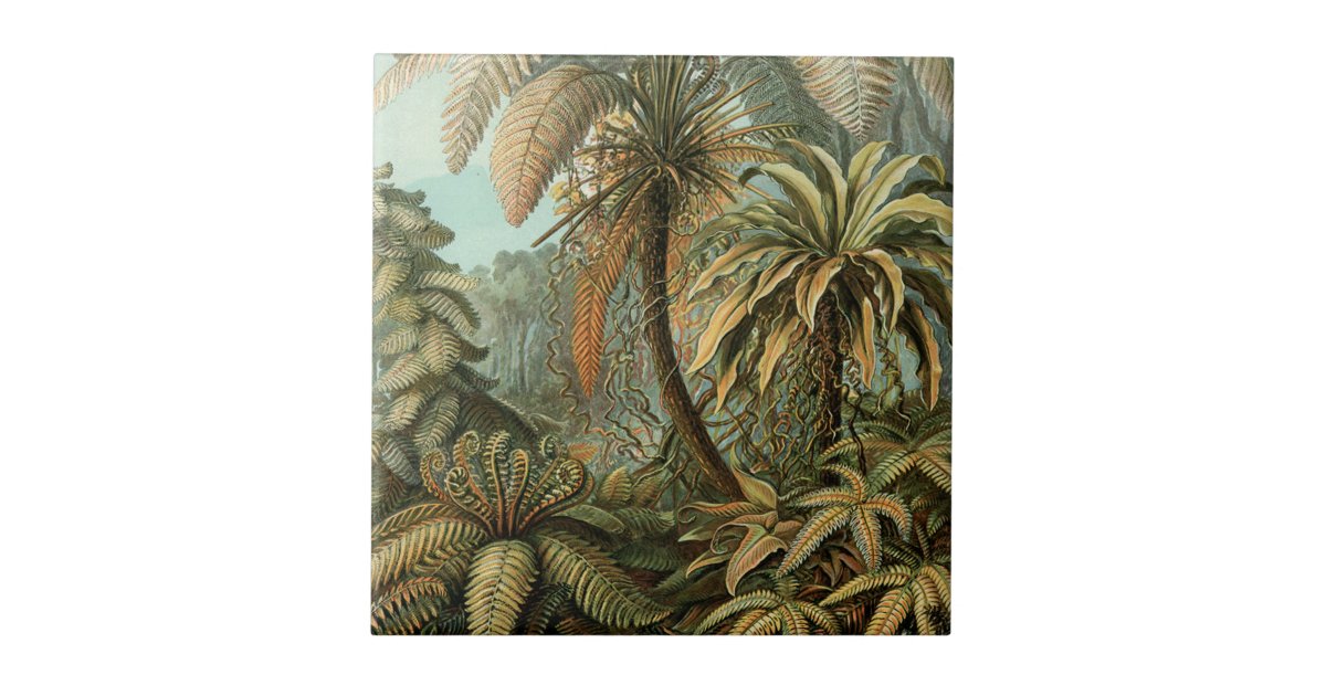 Ferns Palm Tree Antique Botanical Ferns Art Ceramic Tile | Zazzle