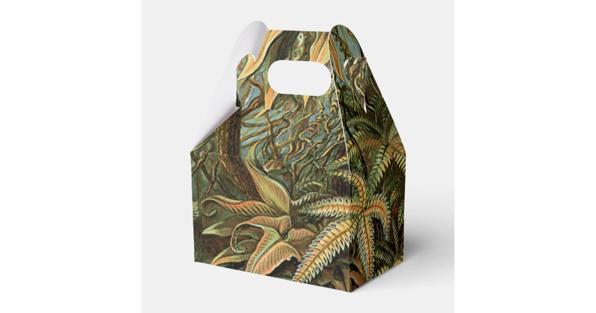 Ferns Palm Tree Antique Botanical Ferns Art Favor Boxes | Zazzle