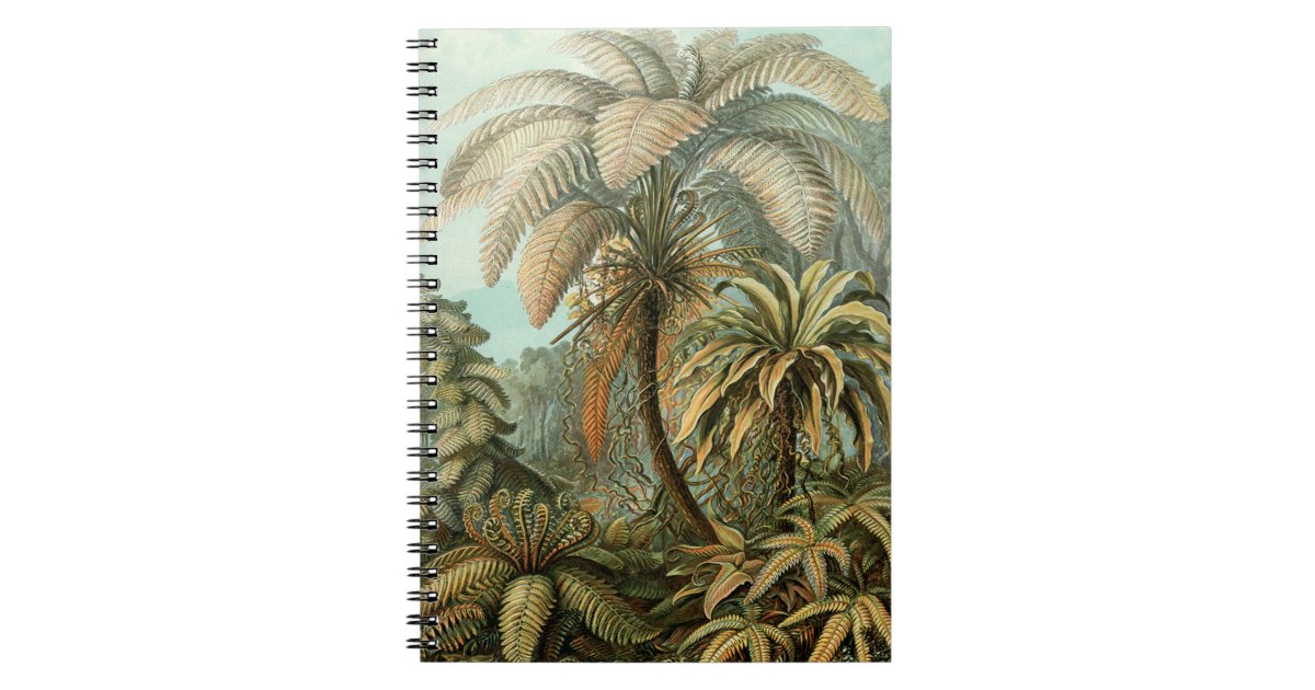 Ferns Palm Tree Antique Botanical Ferns Art Notebook | Zazzle