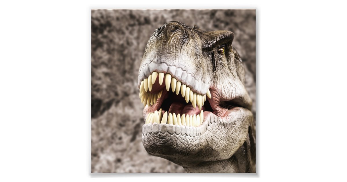 Ferocious T-Rex Head Photo Print | Zazzle