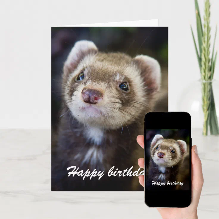Ferret birthday card | Zazzle
