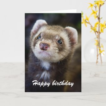 Ferret birthday card | Zazzle