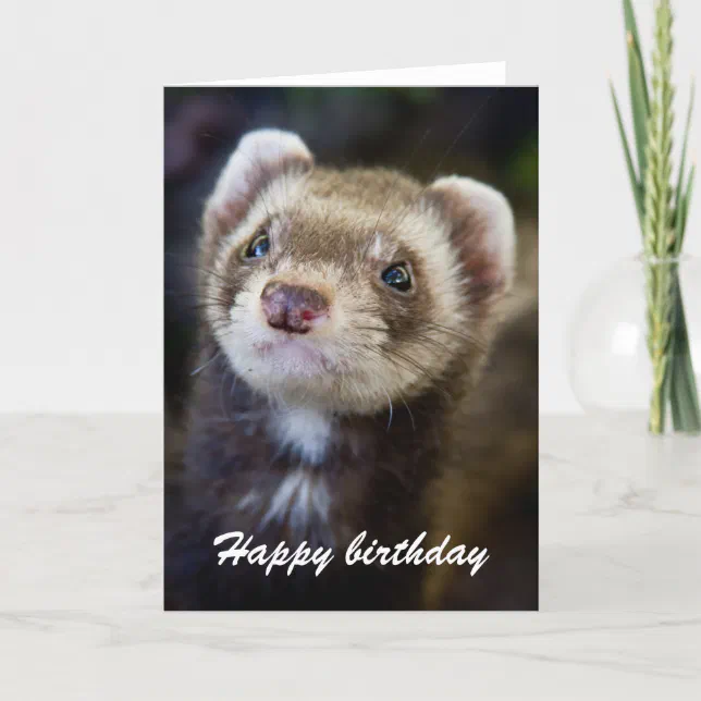 Ferret birthday card | Zazzle