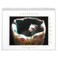Ferret Calendar 1st Edition | Zazzle
