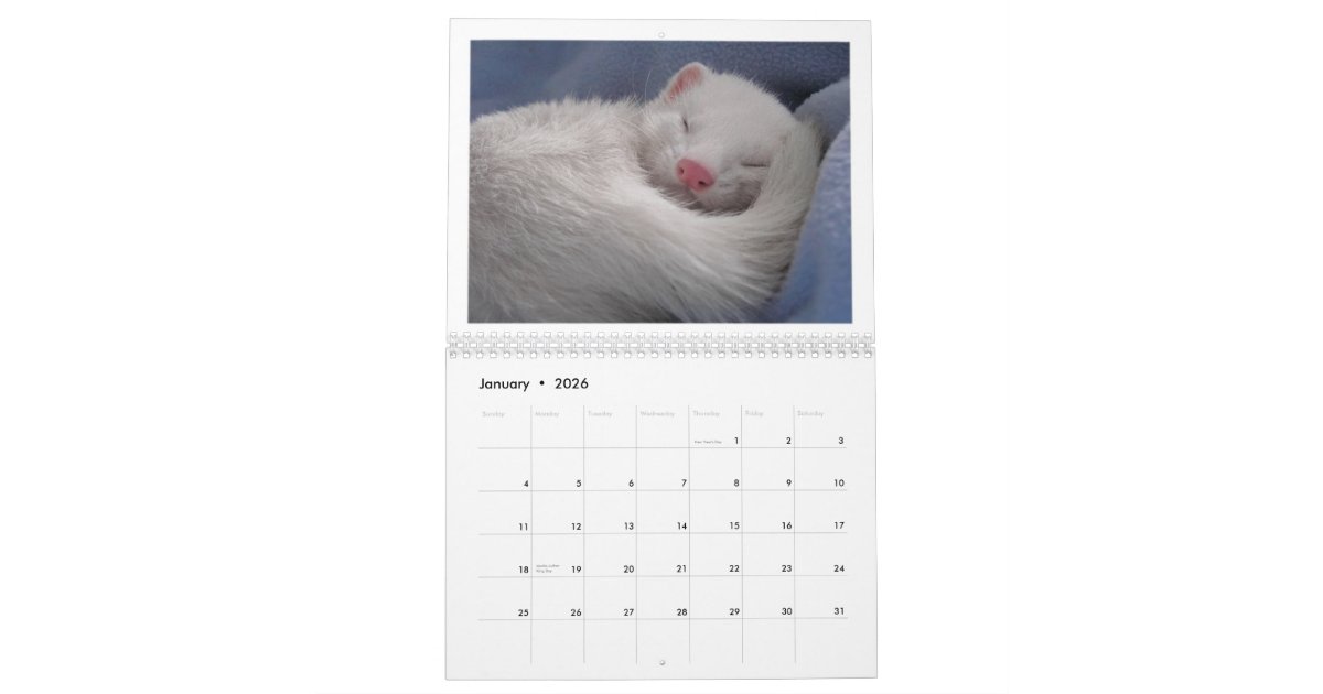 Ferret Calendar 1st Edition | Zazzle