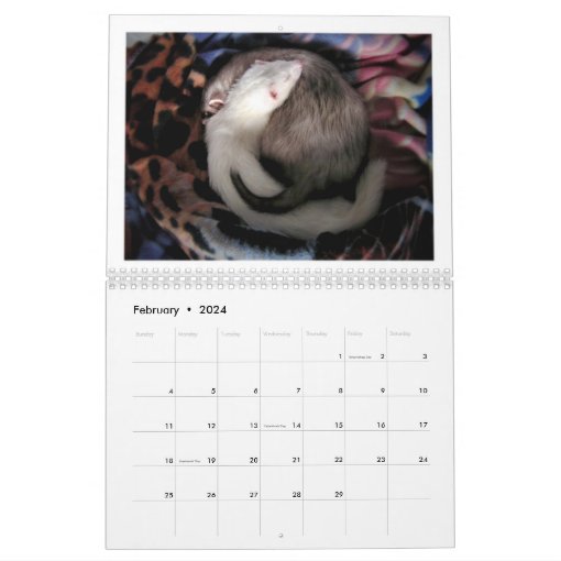 Ferret Calendar 1st Edition | Zazzle