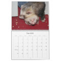 Ferret Calendar 2011 | Zazzle