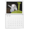 Ferret Calendar - 2nd Edition | Zazzle