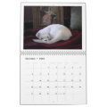 Ferret Calendar - 2nd Edition | Zazzle