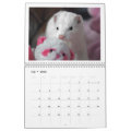 Ferret Calendar - 2nd Edition | Zazzle