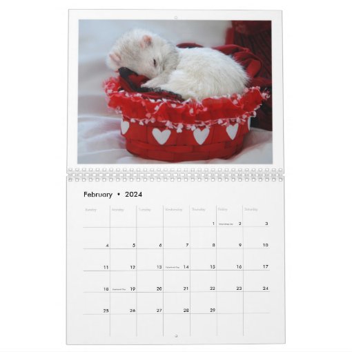 Ferret Calendar - 2nd Edition | Zazzle