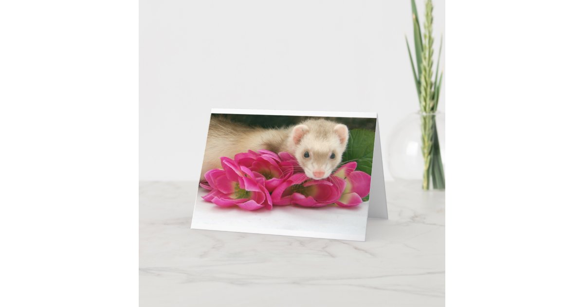 Ferret Card | Zazzle