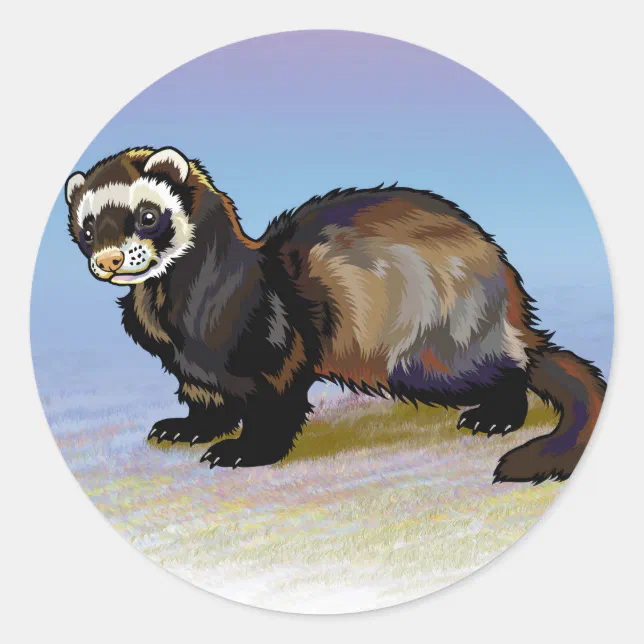 ferret classic round sticker | Zazzle