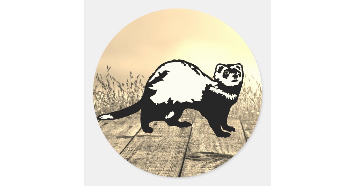 Ferret classic round sticker | Zazzle
